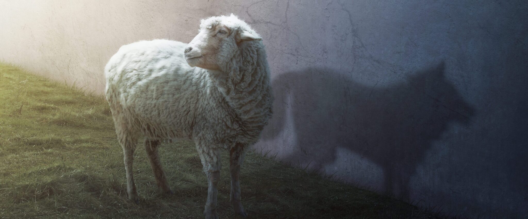 How to Identify a True Prophet?