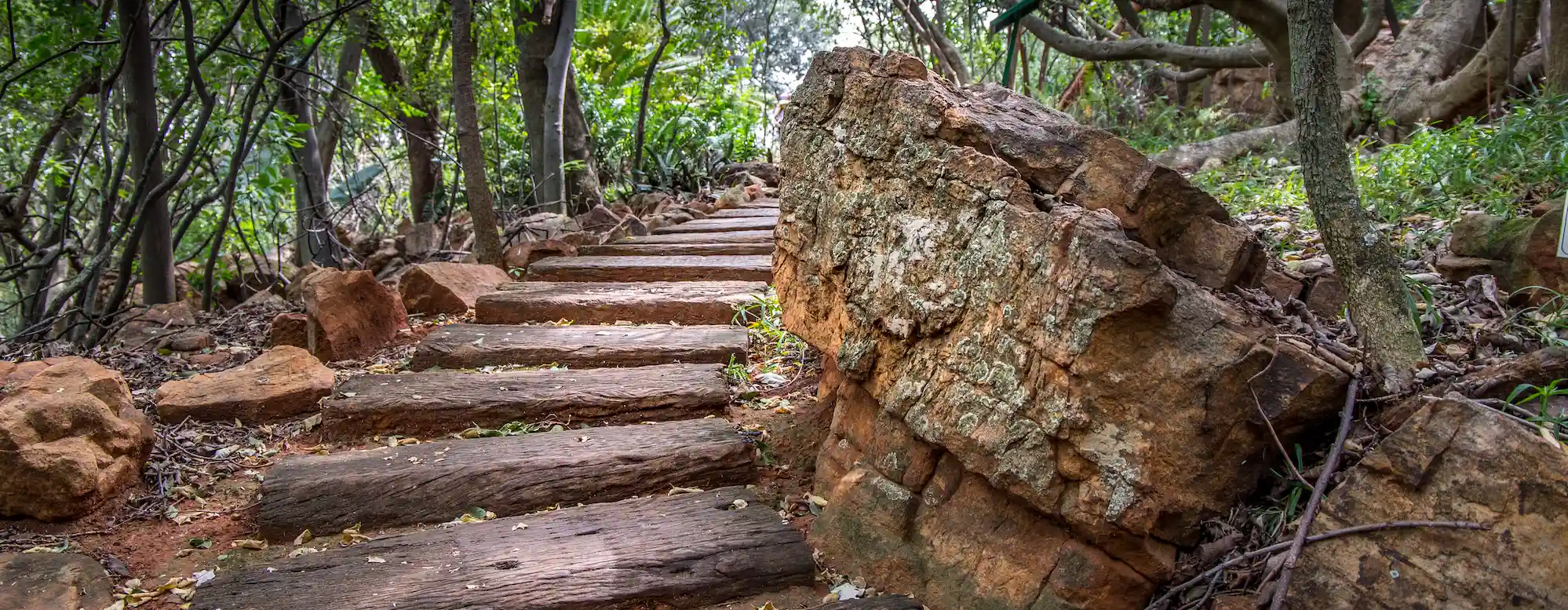 Starting the Path | A Rood Awakening