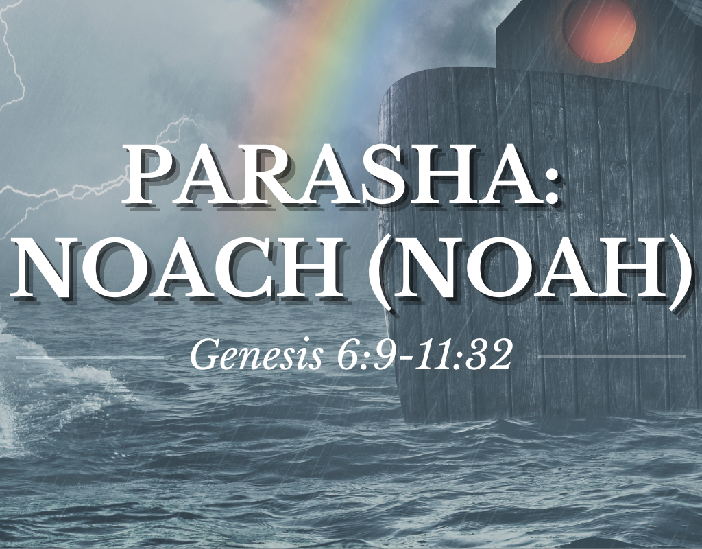 Parashah Noach (Noah) | A Rood Awakening