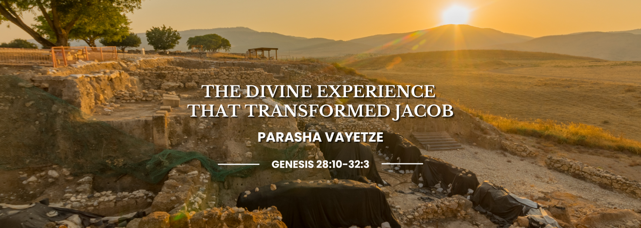Parashah Vayetze – He went out – A Rood Awakening