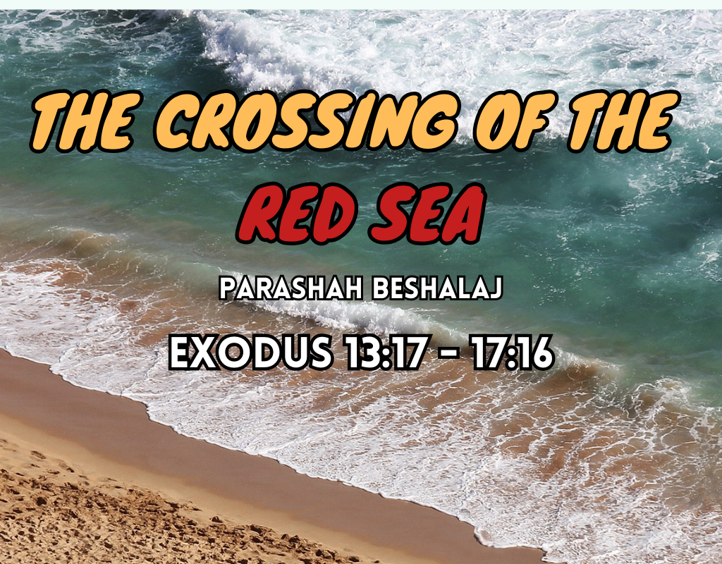 Parashah B'shalaj | A Rood Awakening
