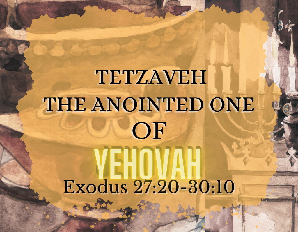 Parashah Tetzaveh | A Rood Awakening