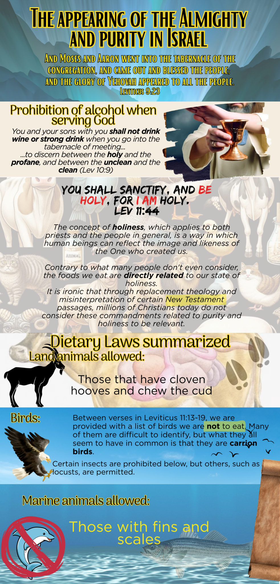 Parashah Shmini | A Rood Awakening