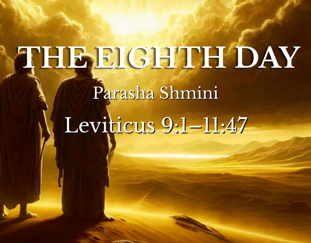 Parashah Shmini | A Rood Awakening