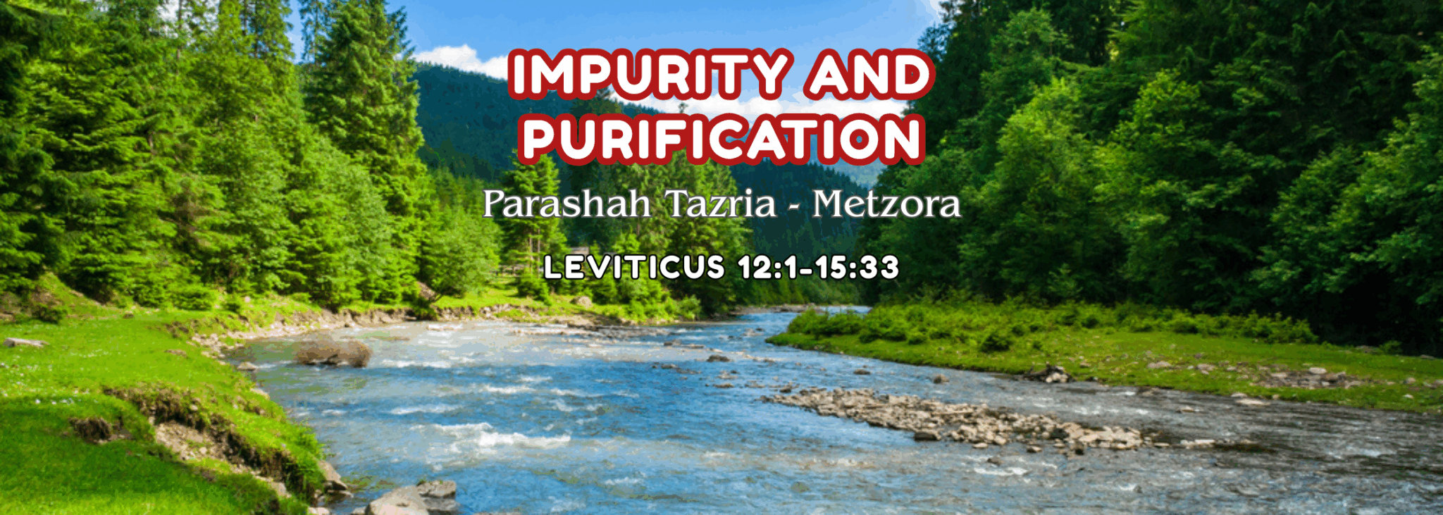 Parashot Tazria-Metzora | A Rood Awakening