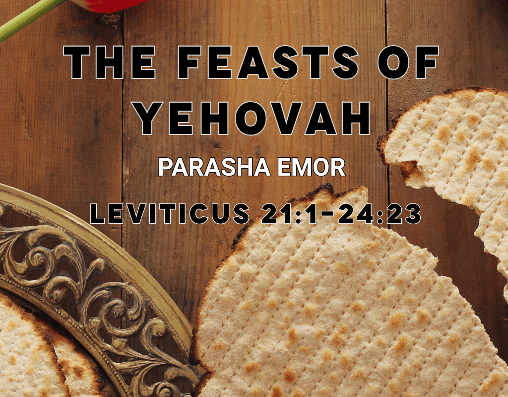 Parasha Emor | A Rood Awakening