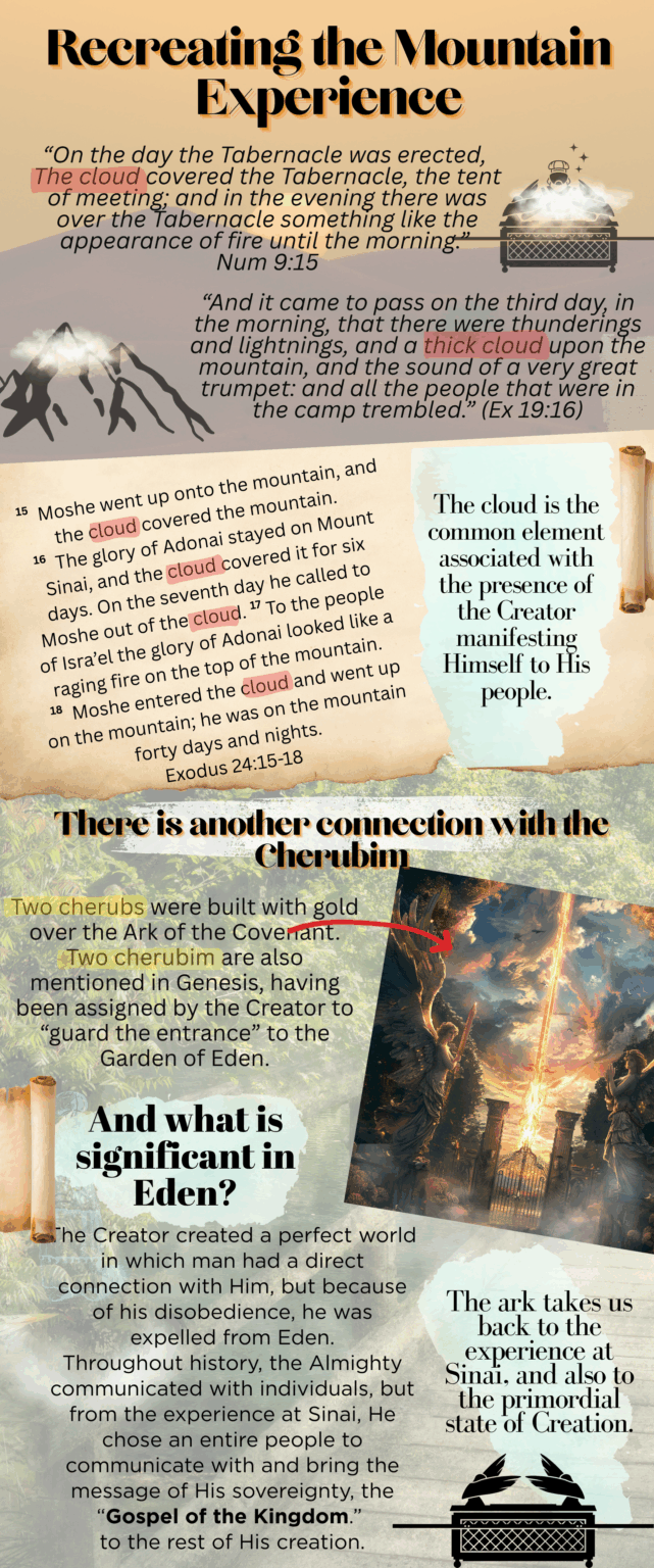 The Divine Connection of Israel | A Rood Awakening