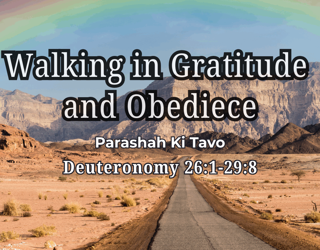 The Hidden Price of Rebellion | A Rood Awakening